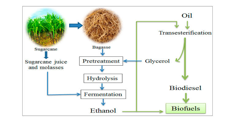 Bio Ethanol Production From Sugarcane Molasses And Cassava